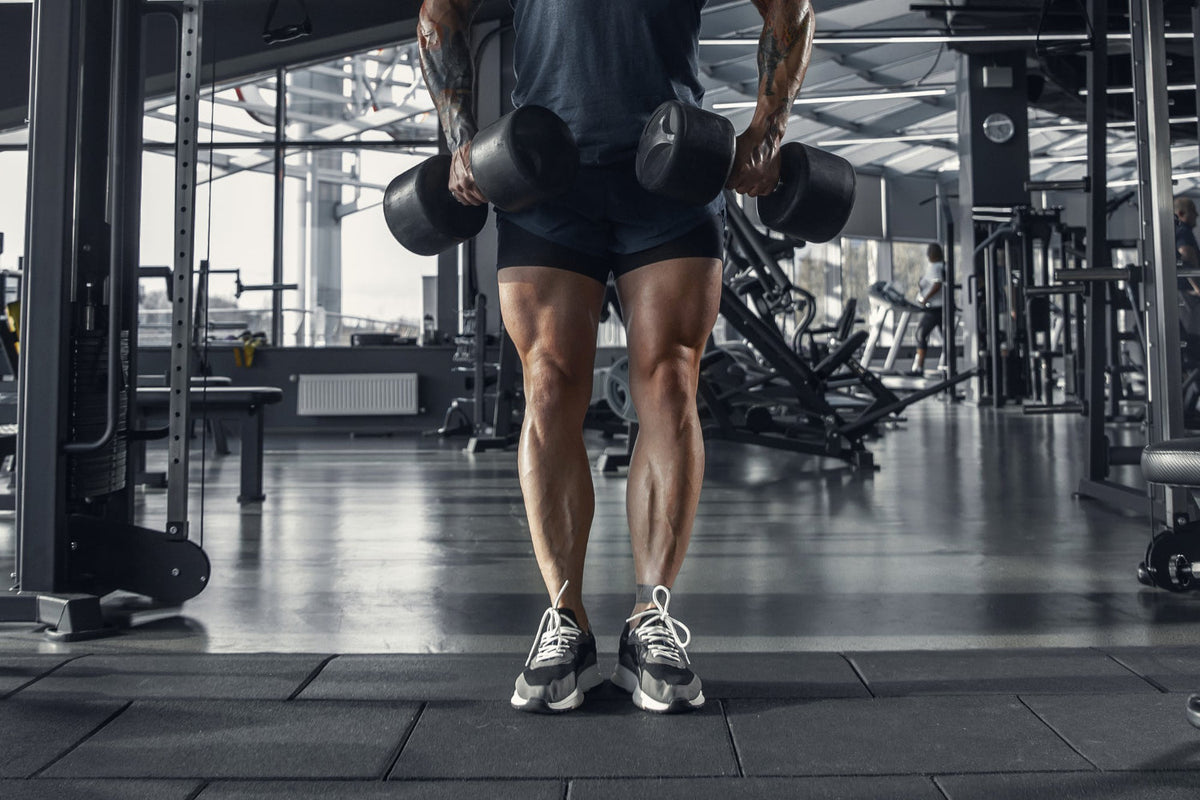 Best Quad Exercises - Dumbbell Workout to Build Leg Strength – BRAINGAIN