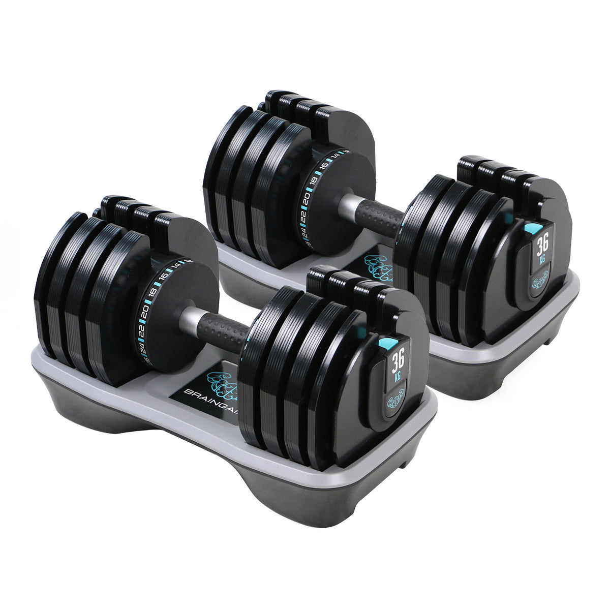 36kg Adjustable Dumbbells (Pair) | 2kg Increment | BRAINGAIN | Home ...